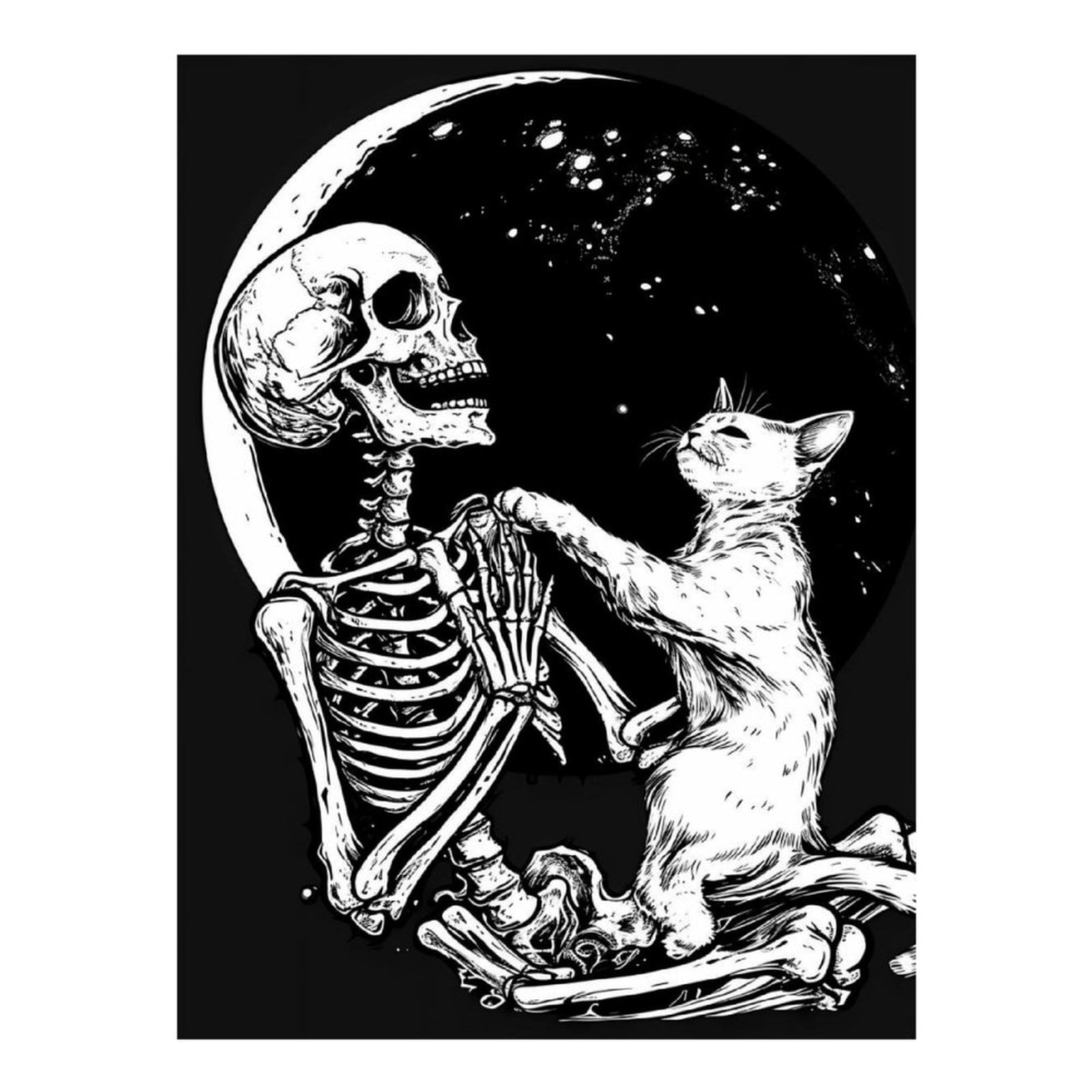 Diamond Art Kits for Adults - Halloween Vintage Skeleton Cat DIY ...