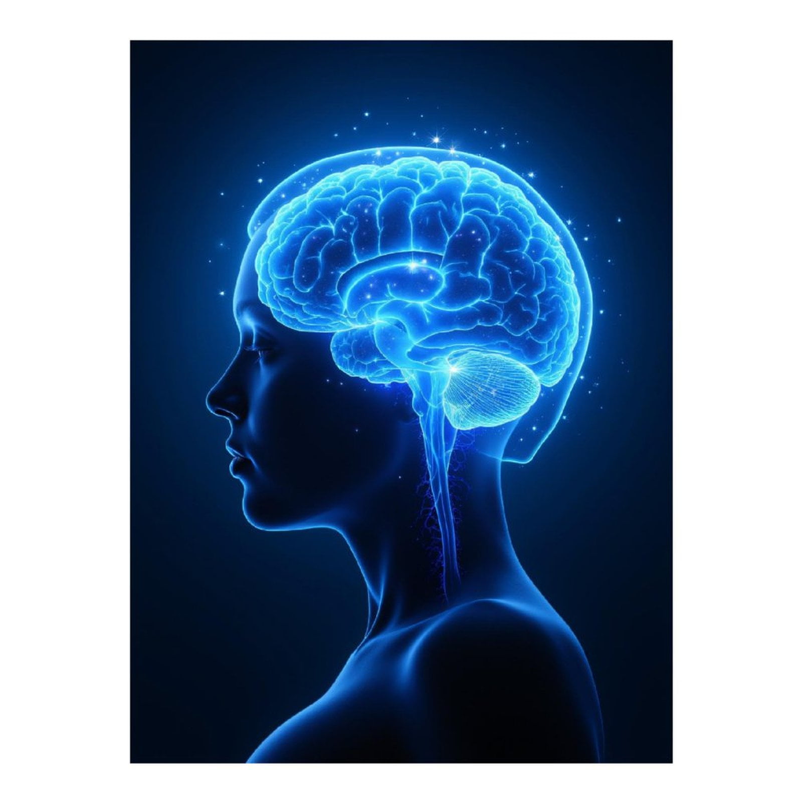 Diamond Art Kits for Adults, Human Brain Anatomy Illustration 5D ...