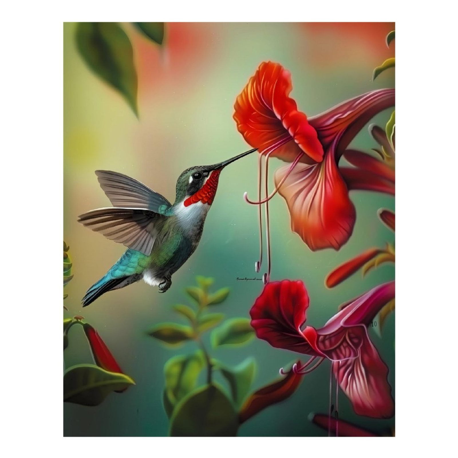 Diamond Art Kits for Adults- Hummingbird Floral Paradise Waterproof ...