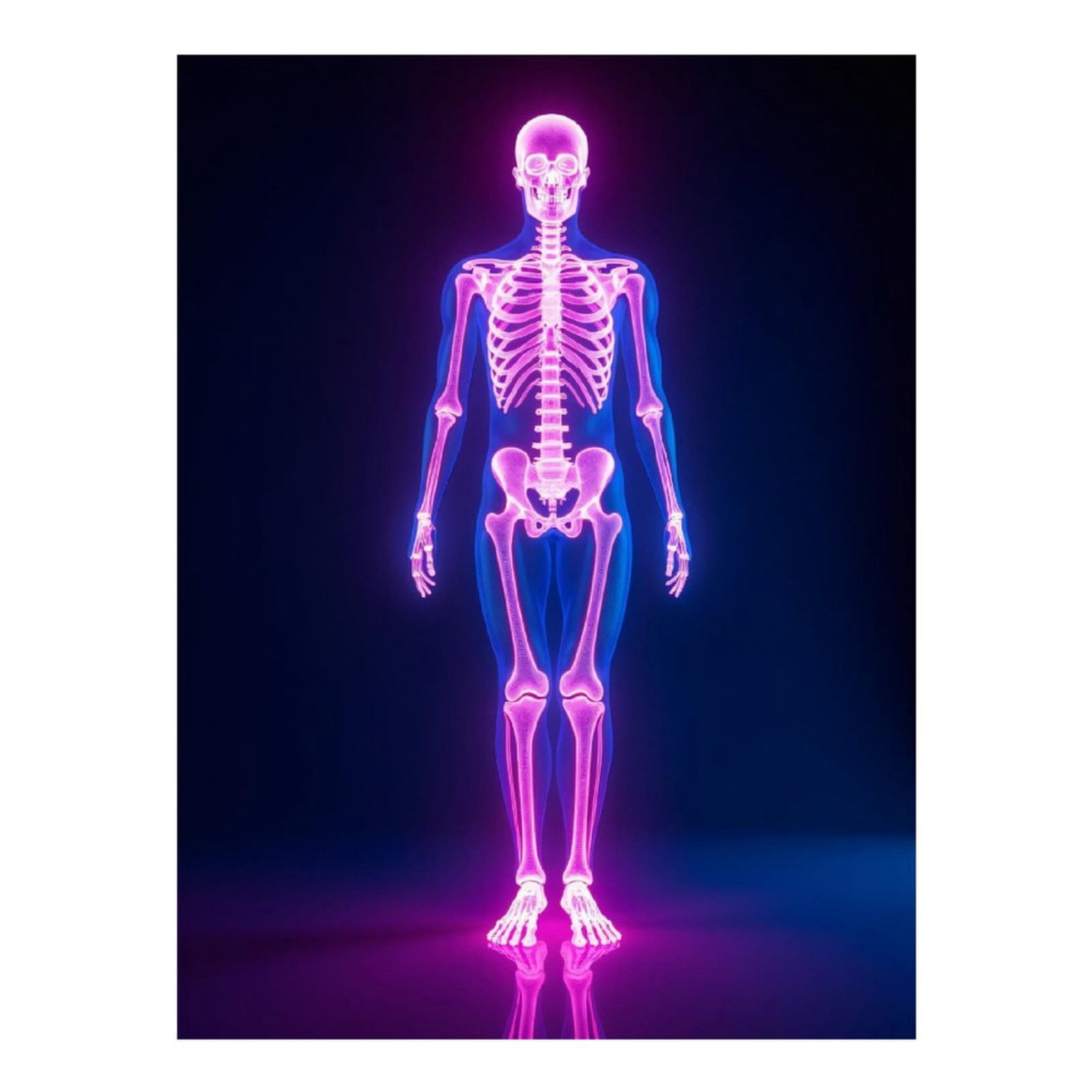 Diamond Art Kits for Adults - Neon Skeleton Illustration 5d Diamond ...