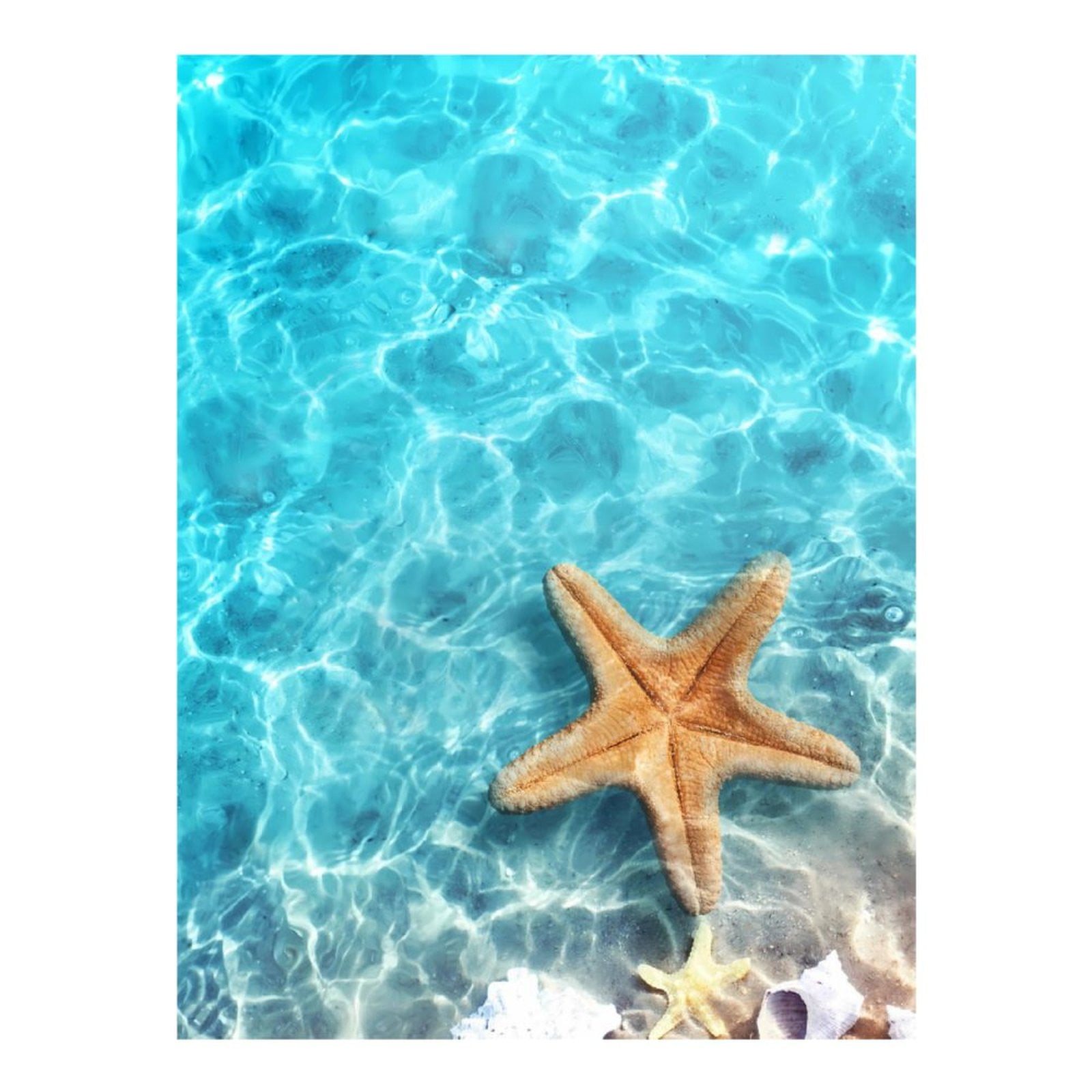 Diamond Art Kits for Adults, Starfish And Seashell On The Beach ...