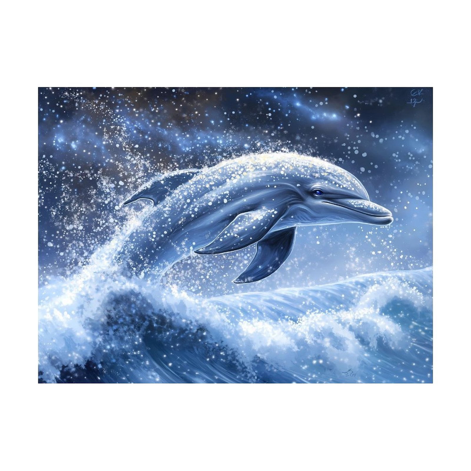 Diamond Art Kits for Adults - Winter Snowflake Dolphin DIY Diamond ...
