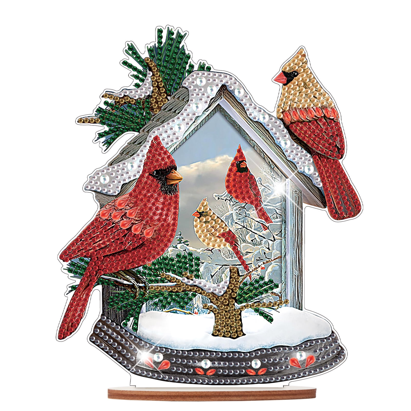 Diamond Art Painting Kit, Snowhouse Bird DIY Desktop Decoration Diamond ...
