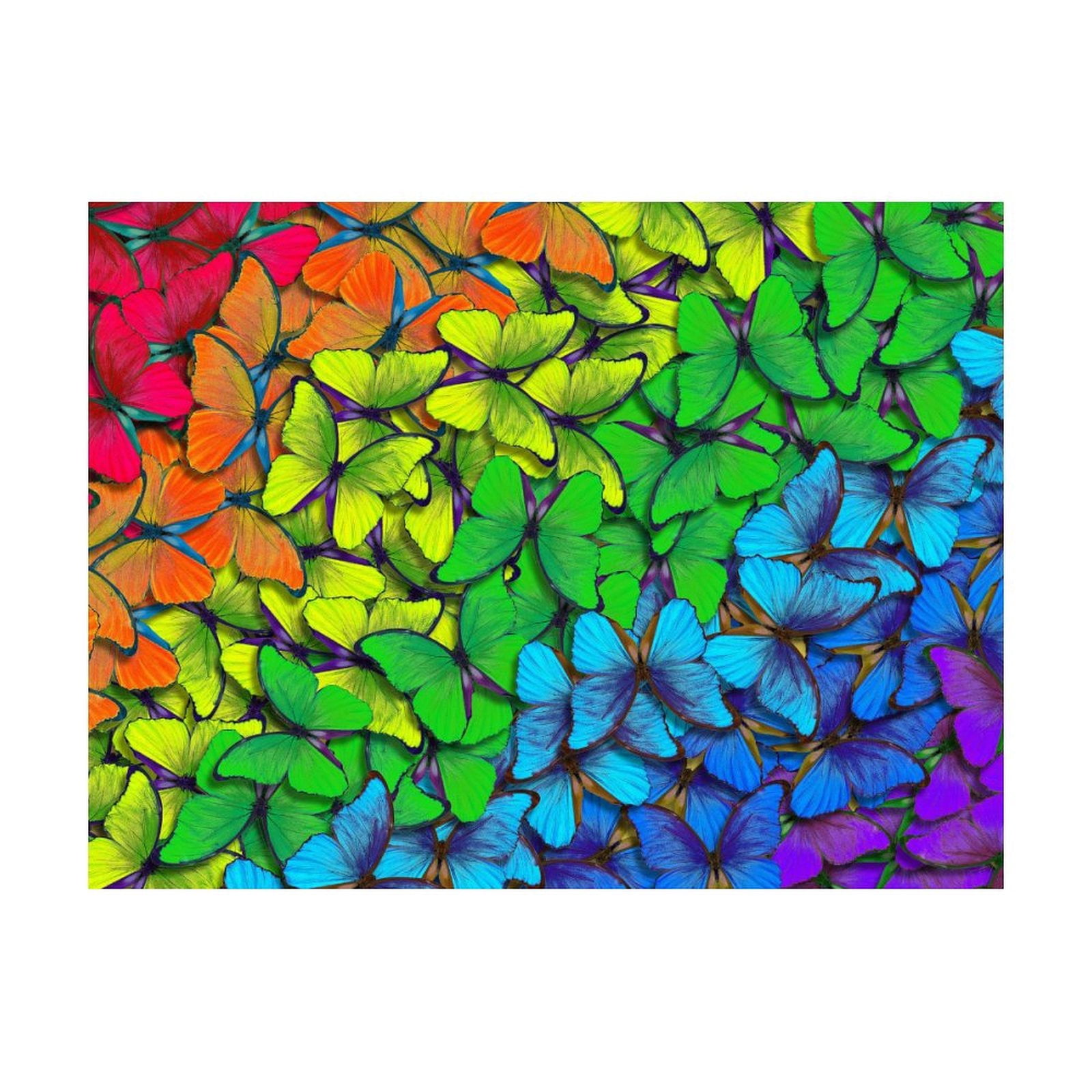 Diamond Art Painting Rainbow Butterflies Funny Diamond Painting Kits ...