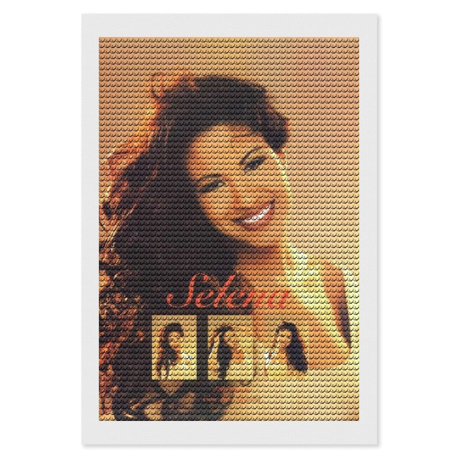 Diamond Arts Kits for Adults - Selena Quintanilla Full Drill Diamond ...