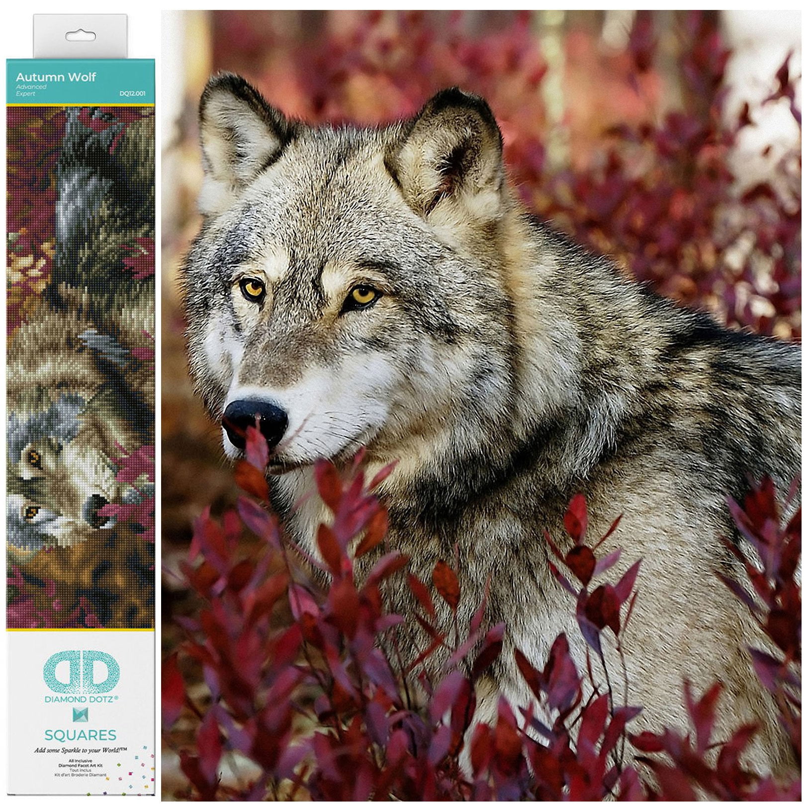 Diamond Dotz Autumn Wolf Diamond Painting Kits for Adults - Diamond Art ...