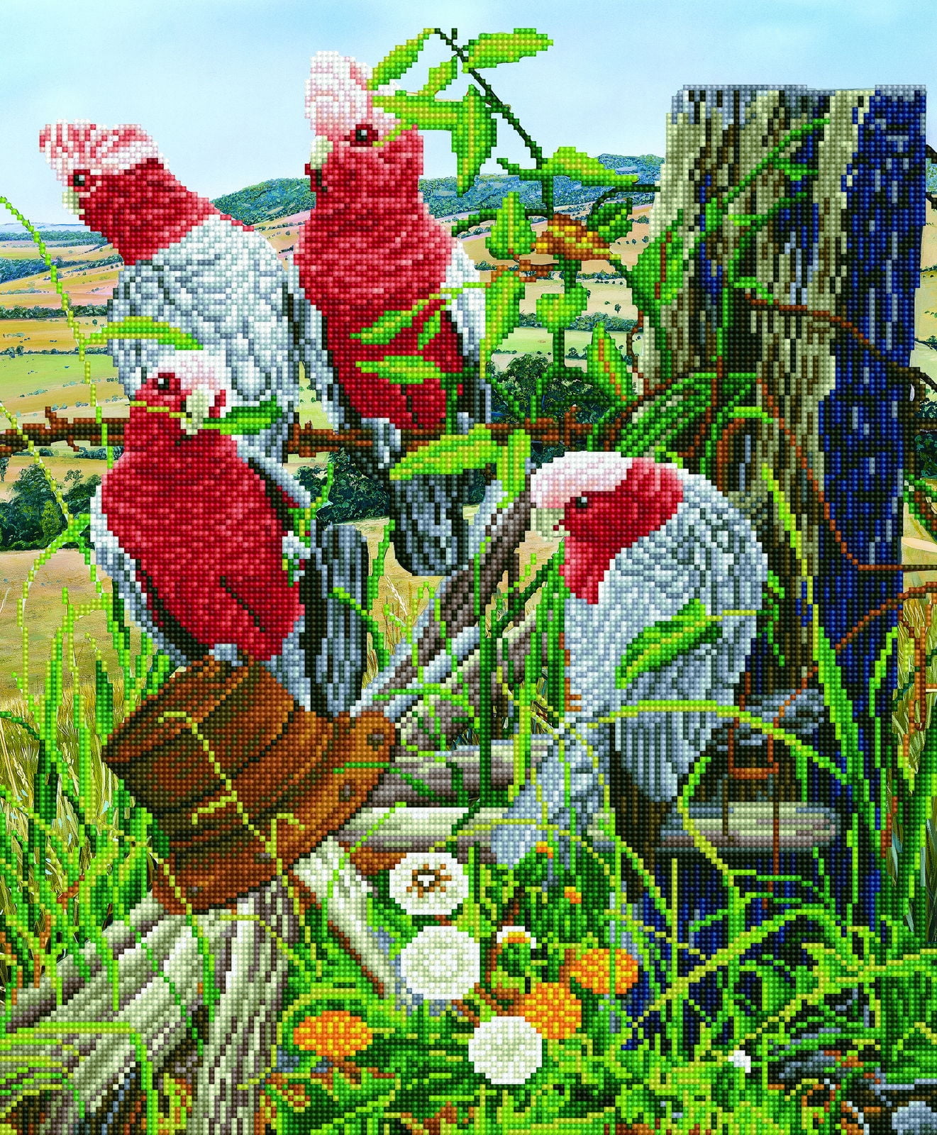 Diamond Dotz Galah Quartet Bird Diamond Painting Kits for Adults ...
