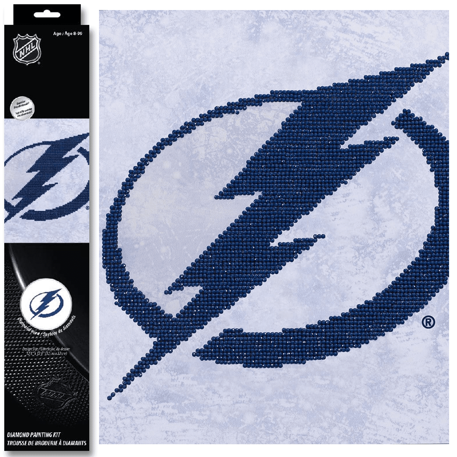 Diamond Dotz NHL Tampa Bay Lightning Hockey Diamond Painting Kits for ...