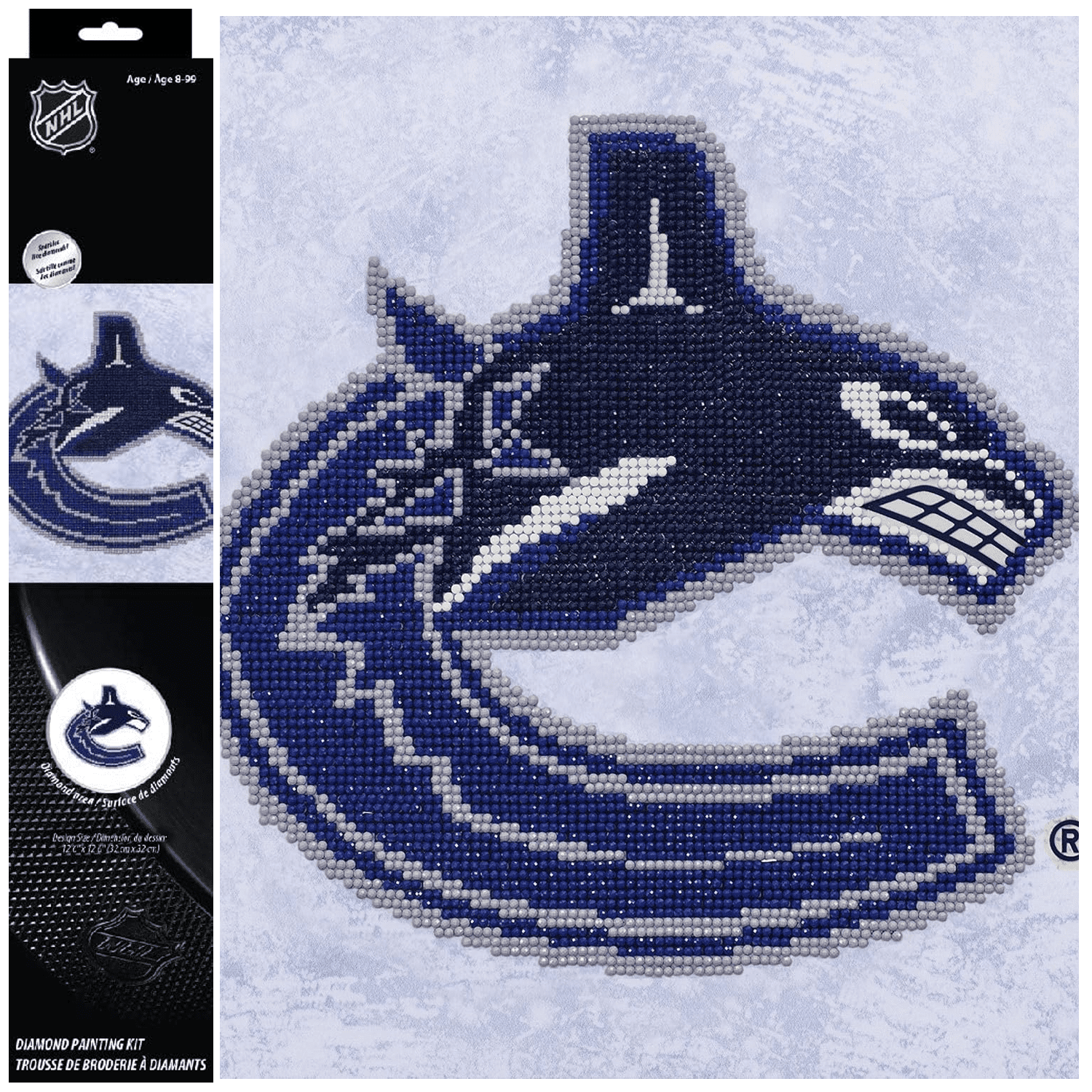 Diamond Dotz NHL Vancouver Canucks Hockey Diamond Painting Kits for ...