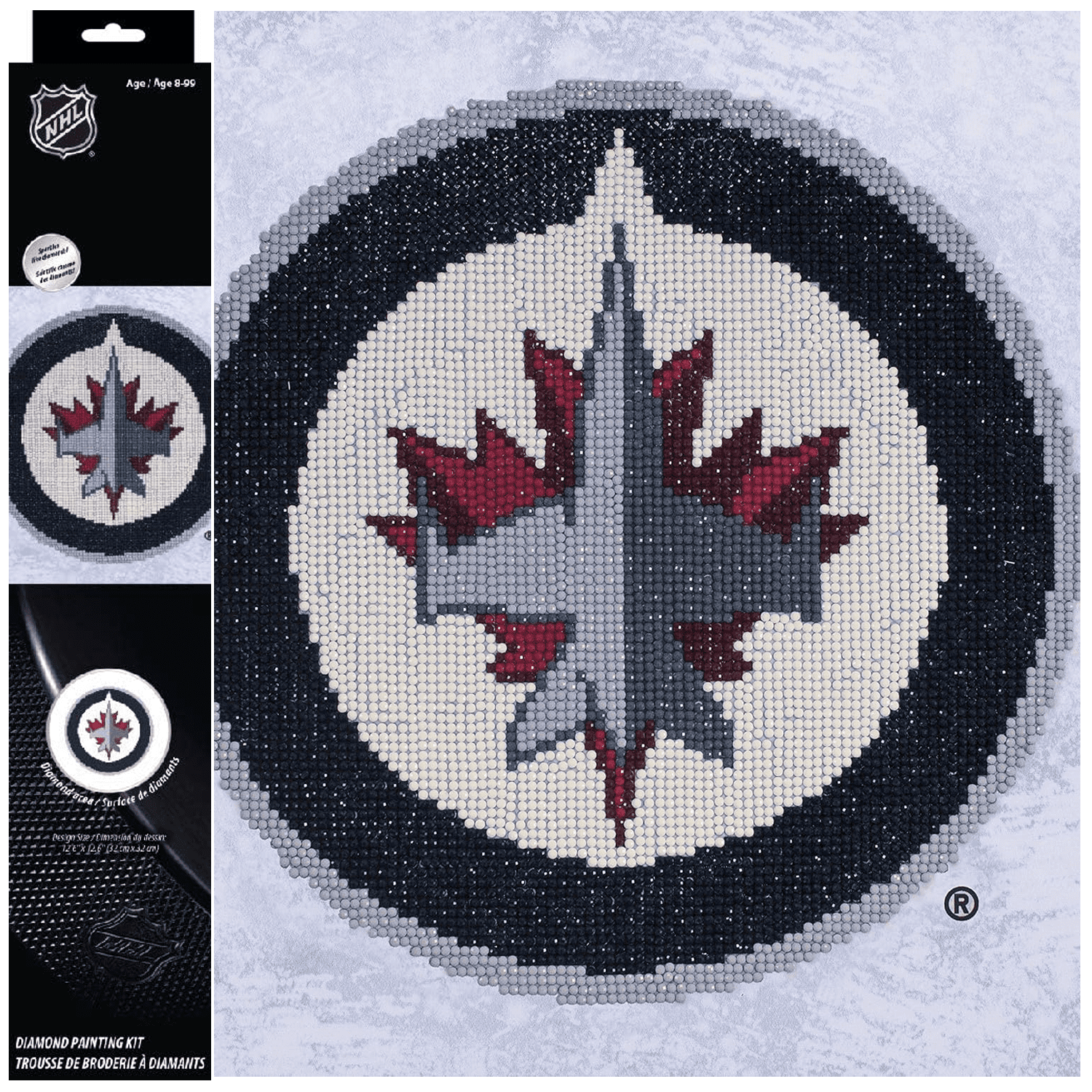 Diamond Dotz NHL Winnipeg Jets Hockey Diamond Painting Kits for Adults ...
