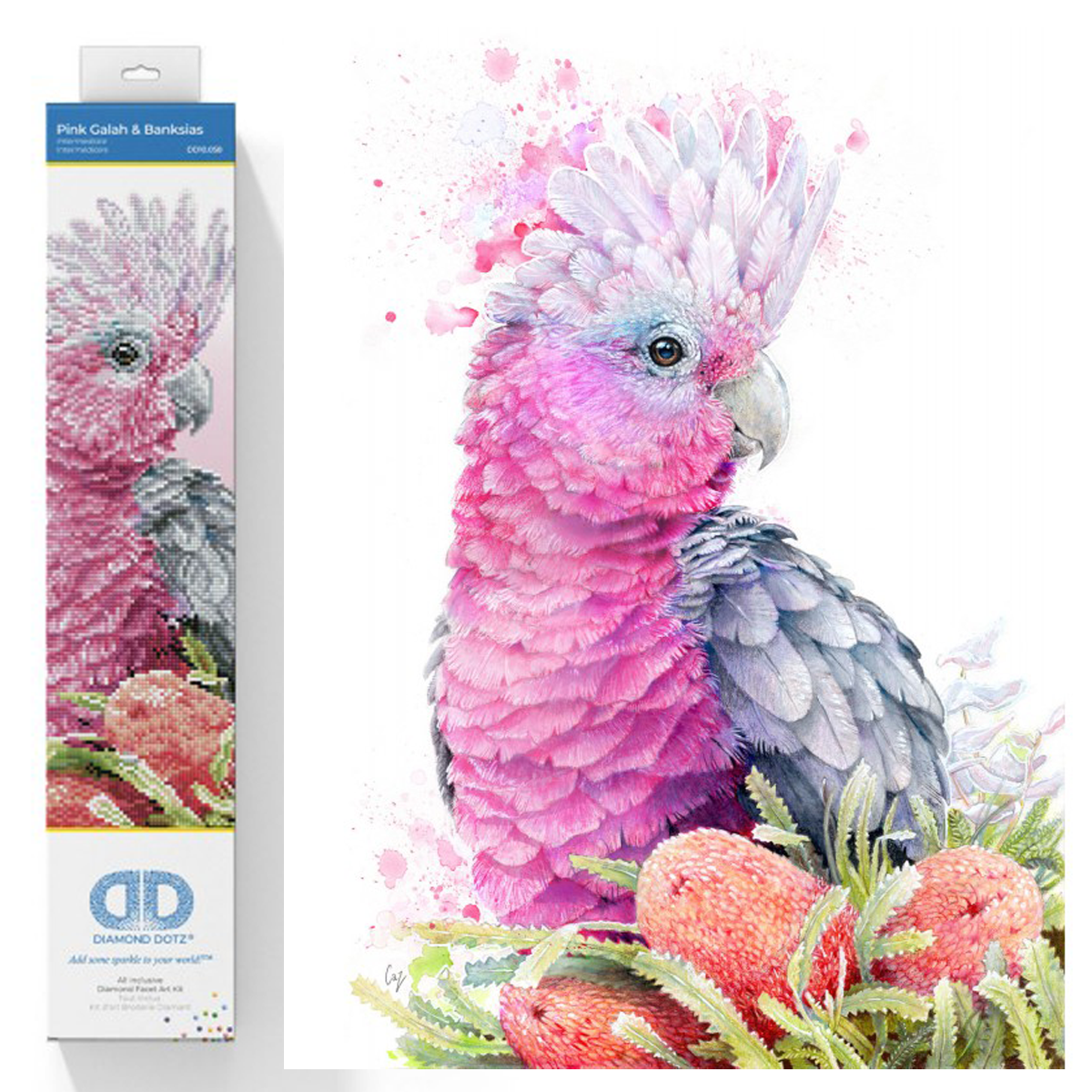 Diamond Dotz Pink Galah & Banksias Diamond Painting Kits for Adults ...