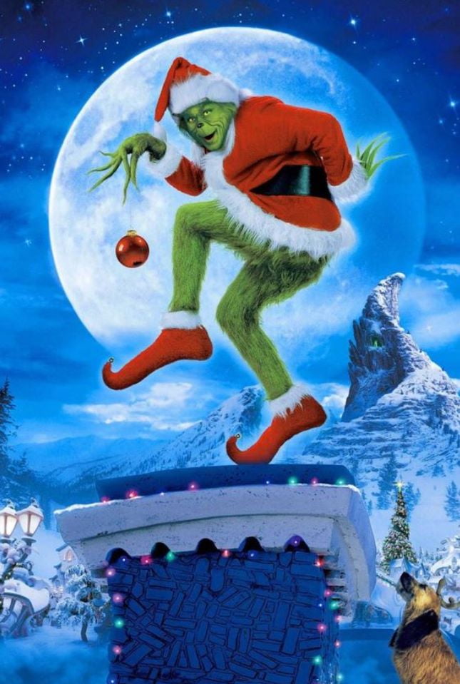 Diamond Painting Kits for Adults Grinch DIY 5D Diamond Art Kits for ...