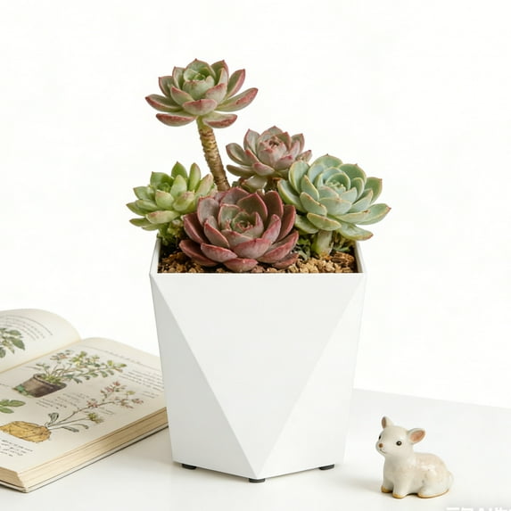 Diamond-shaped Flower Pot, Thickened White Plastic Planter for Indoor ...