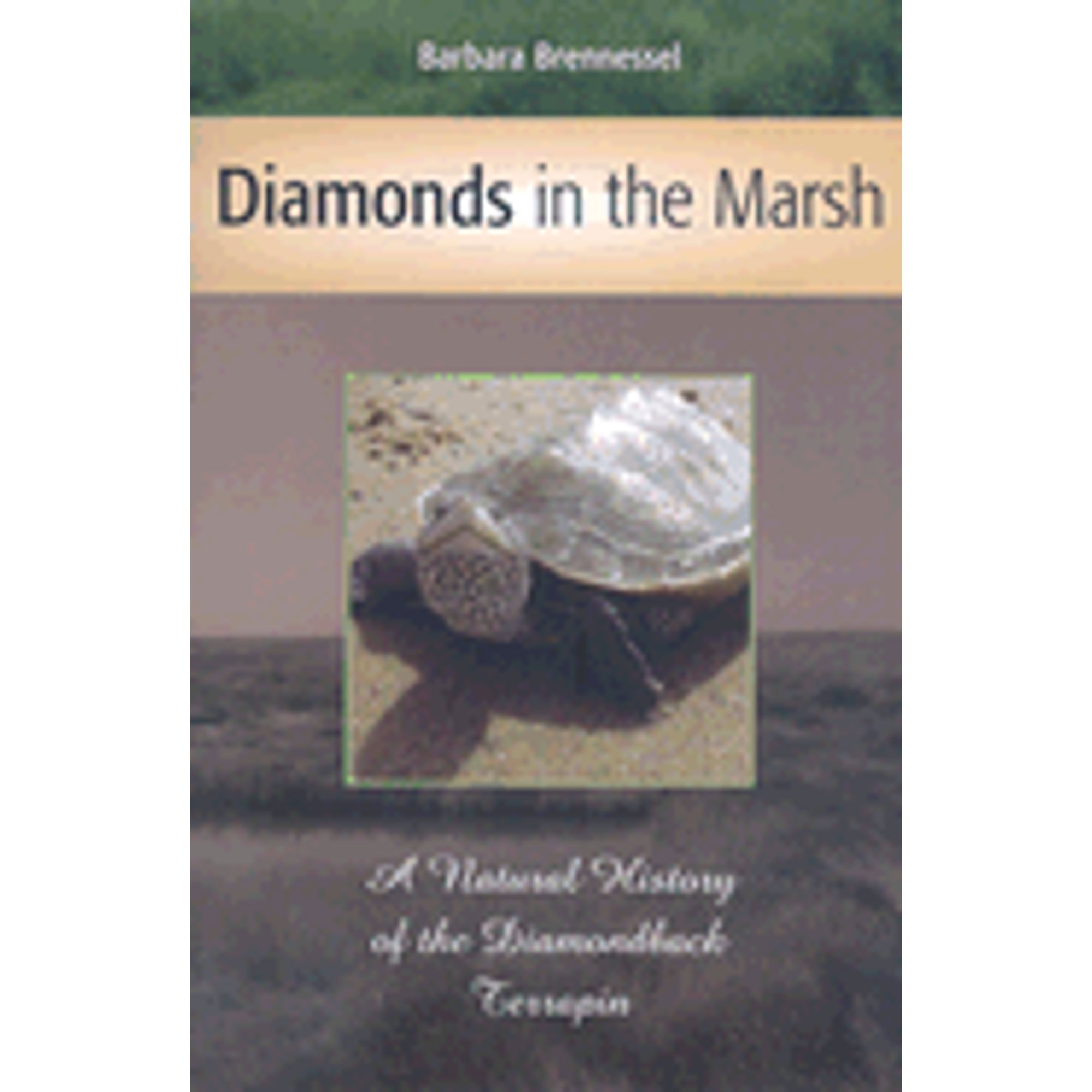 Pre-Owned Diamonds in the Marsh: A Natural History of the Diamondback ...