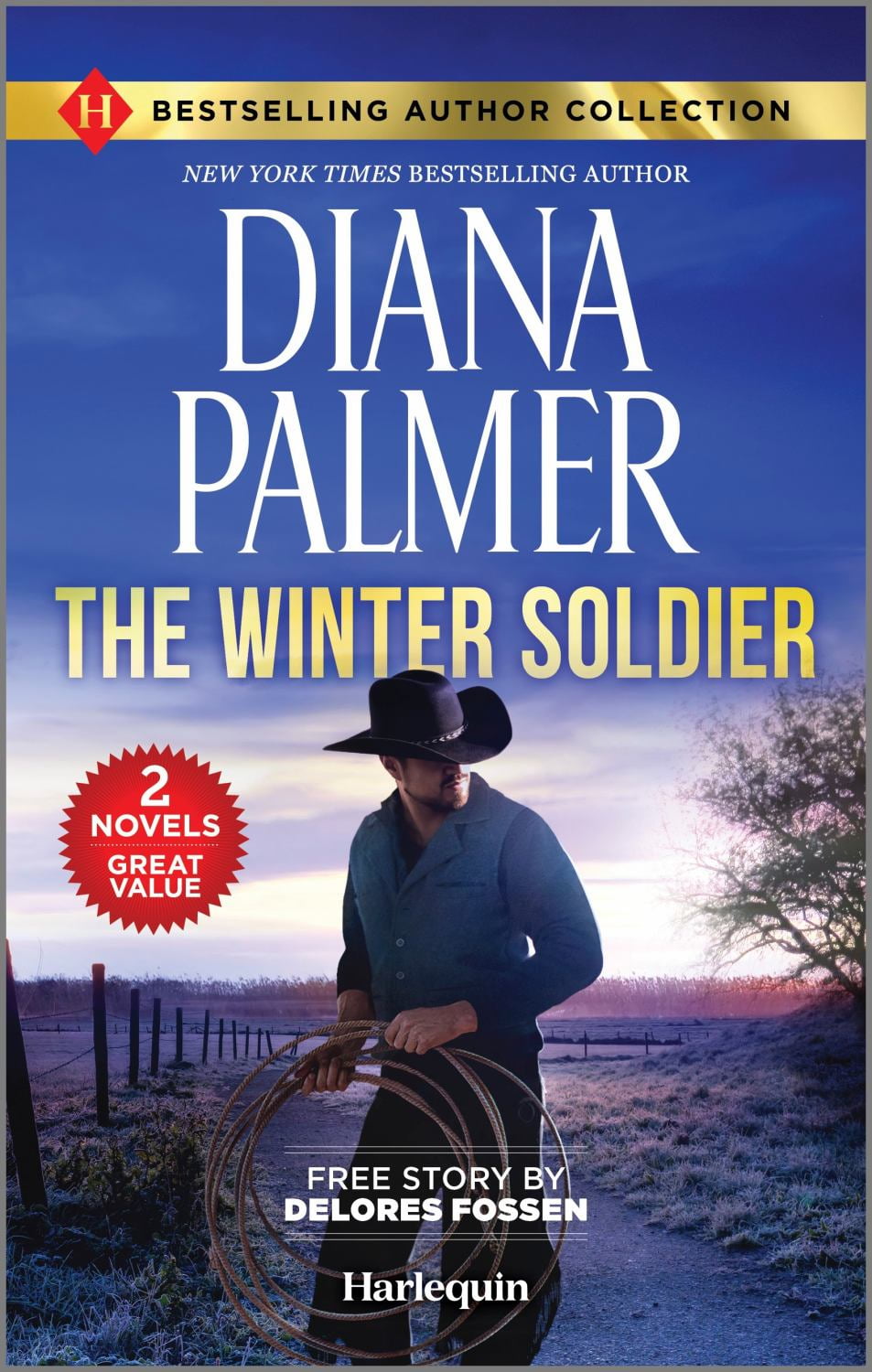 Diana Palmer: The Winter Soldier (Paperback) - Walmart.com