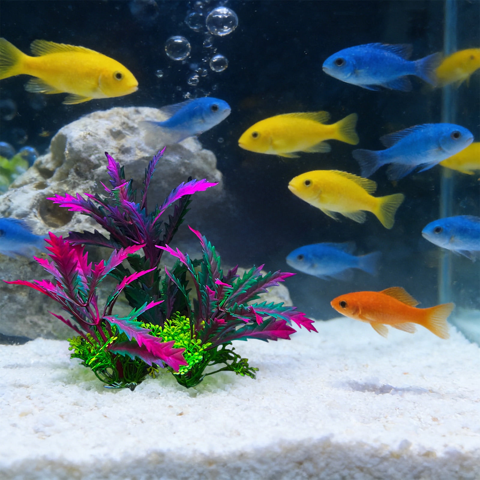 Dianli Aquarium Decor Artificial Seaweed Accent Realistic Plastic ...