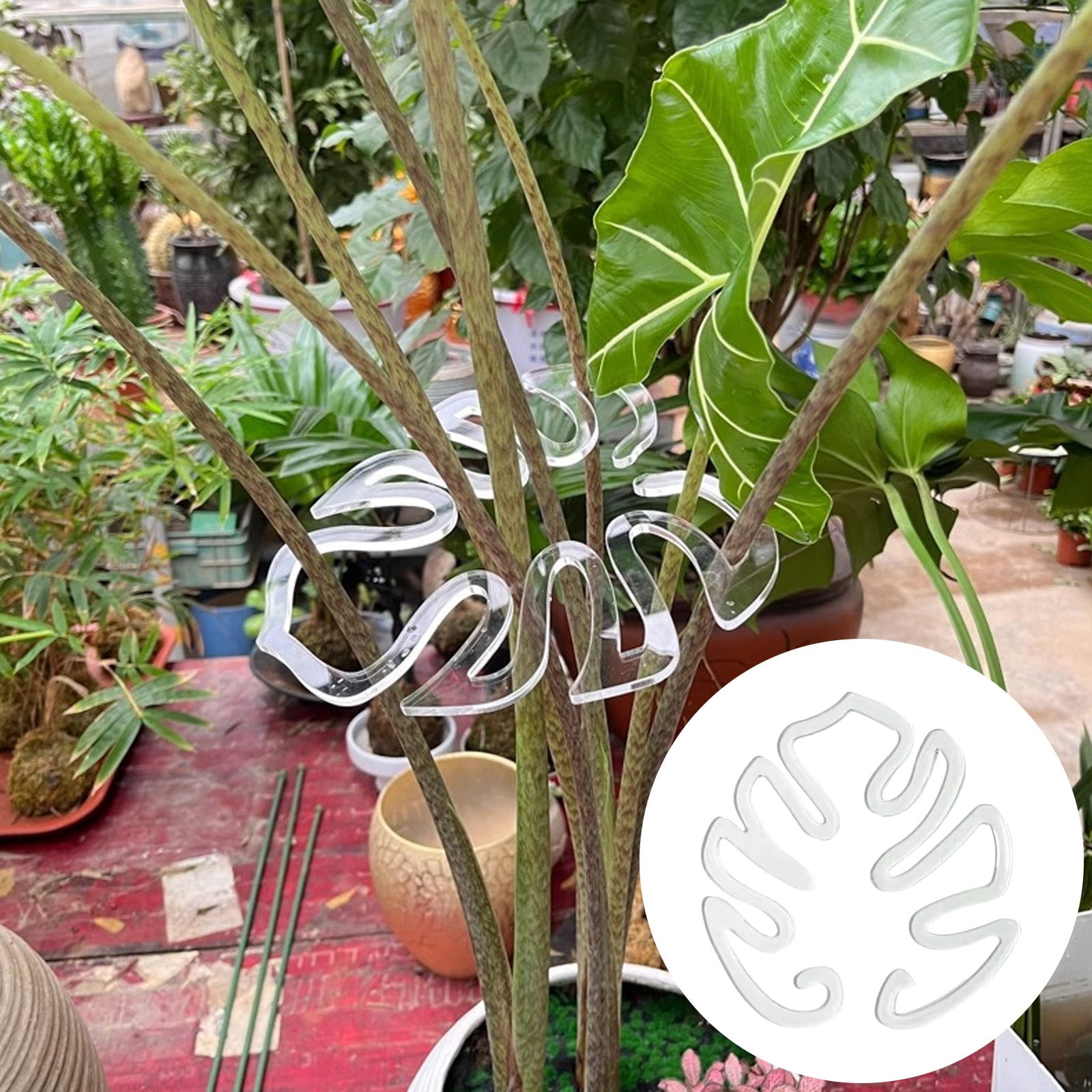 Dianli Garden Support Stakes for Flowers & Vines Adjustable U-Shape ...