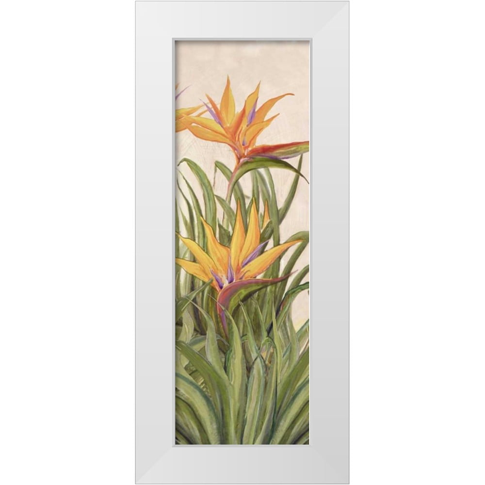 Diannart 11x24 White Modern Wood Framed Museum Art Print Titled - Bird ...