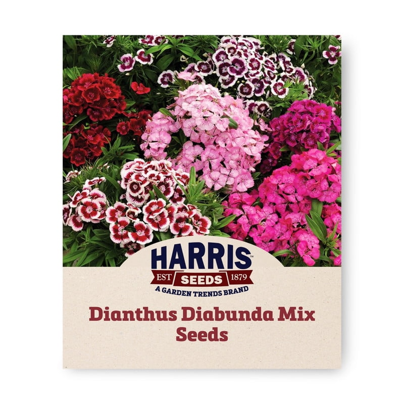 Harris Seeds - Dianthus Seeds - Diabunda Mix F1 - Mix Color - Annual ...