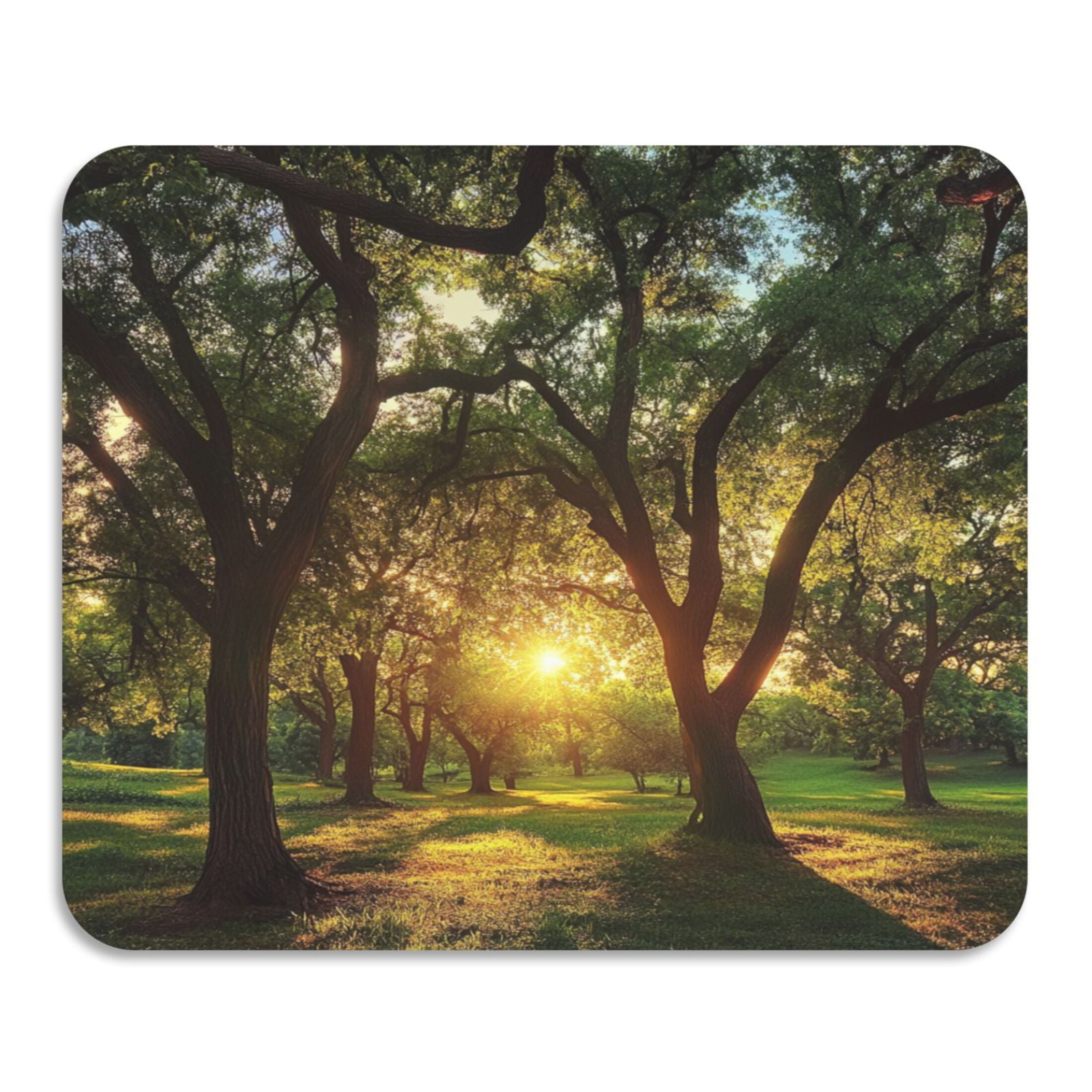 Diatom Mud Drain Pad 23.6x19.7 Inch Dish Drying Mats Magical Mat Magic ...