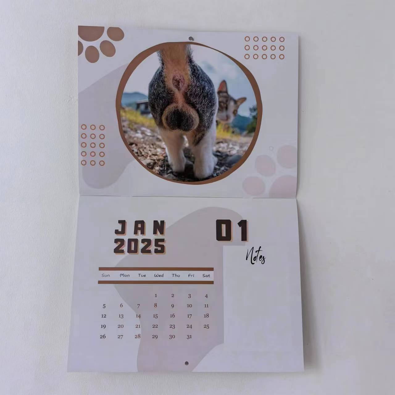 Diceymbol 2025 Calendar Year Hang This Wall Calendar And Enjoy Every ...