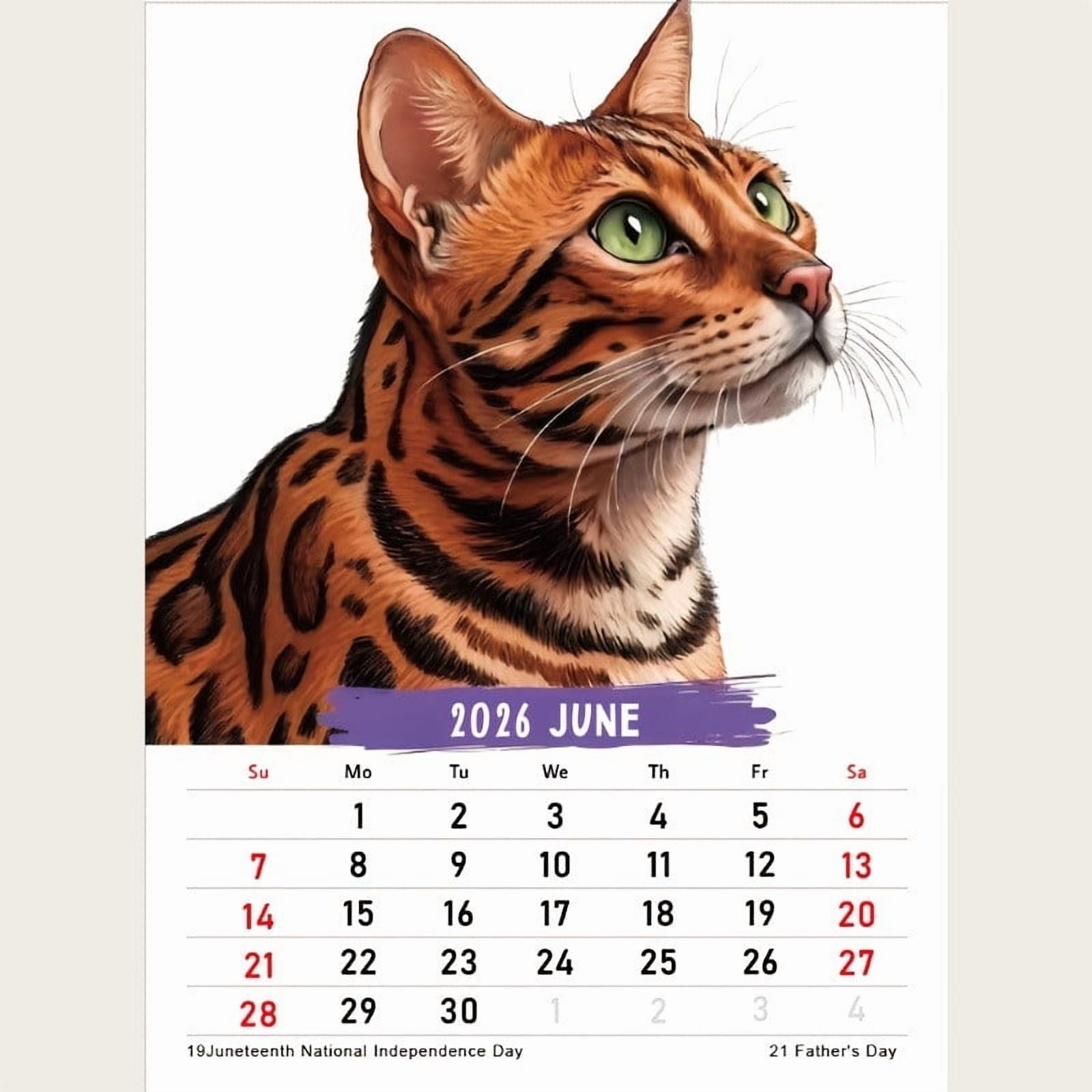 Diceymbol 2026 Head-up Cat Calendar Cute Cat Wall Calendar 2026,Funny ...