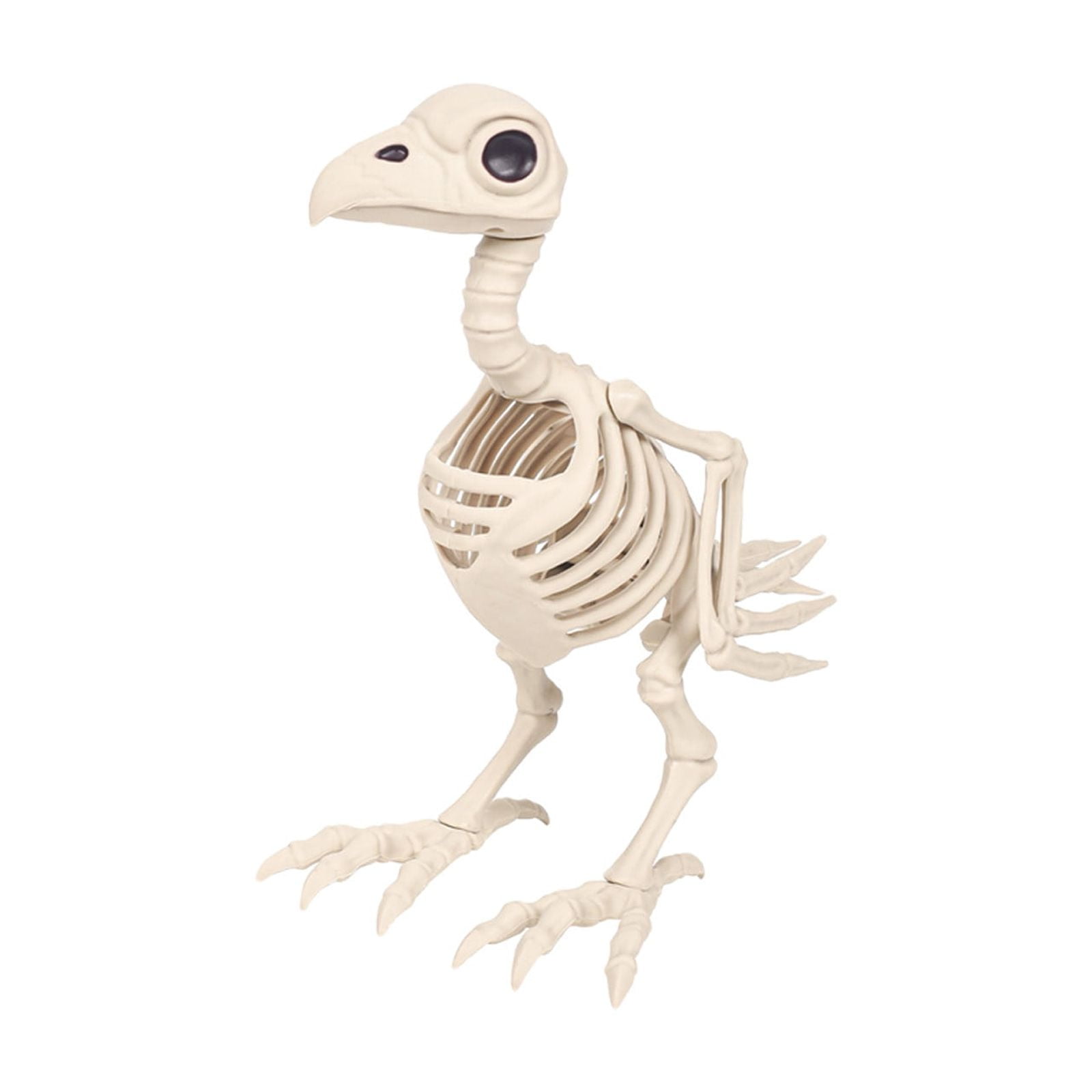 Diceymbol Creepy Bird Skeleton Prop Lifelike Halloween Decoration for ...