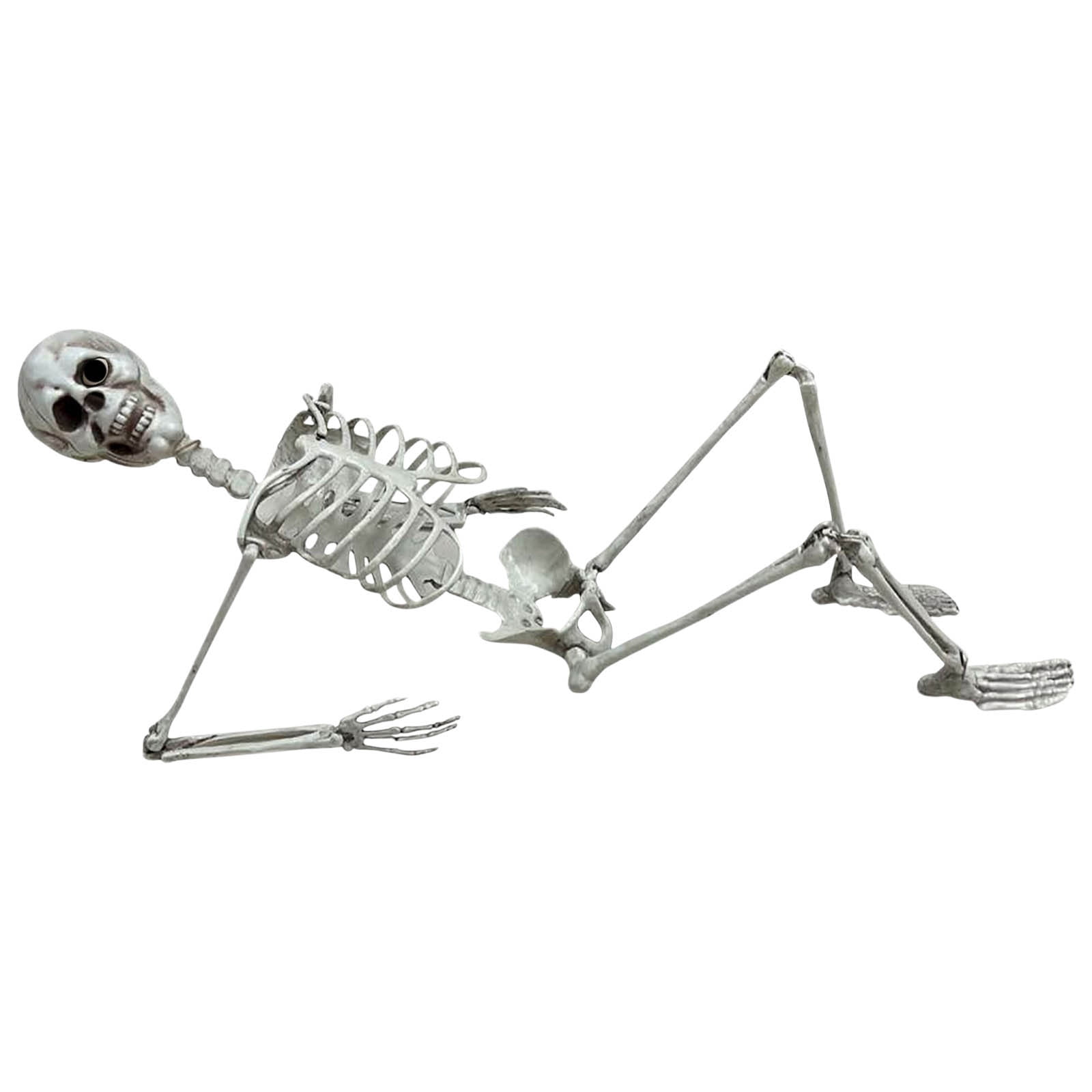 Diceymbol Life-Size Halloween Skeleton 5.5ft Tall Anatomical Model with ...