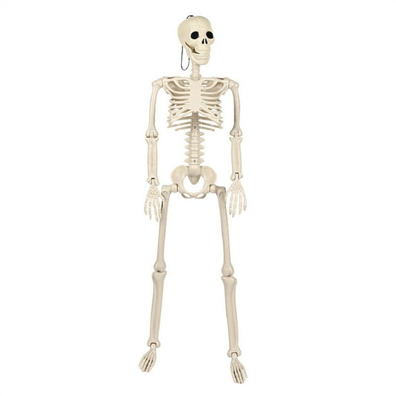 Diceymbol Life Size Halloween Skeleton Decoration with Movable Joints ...
