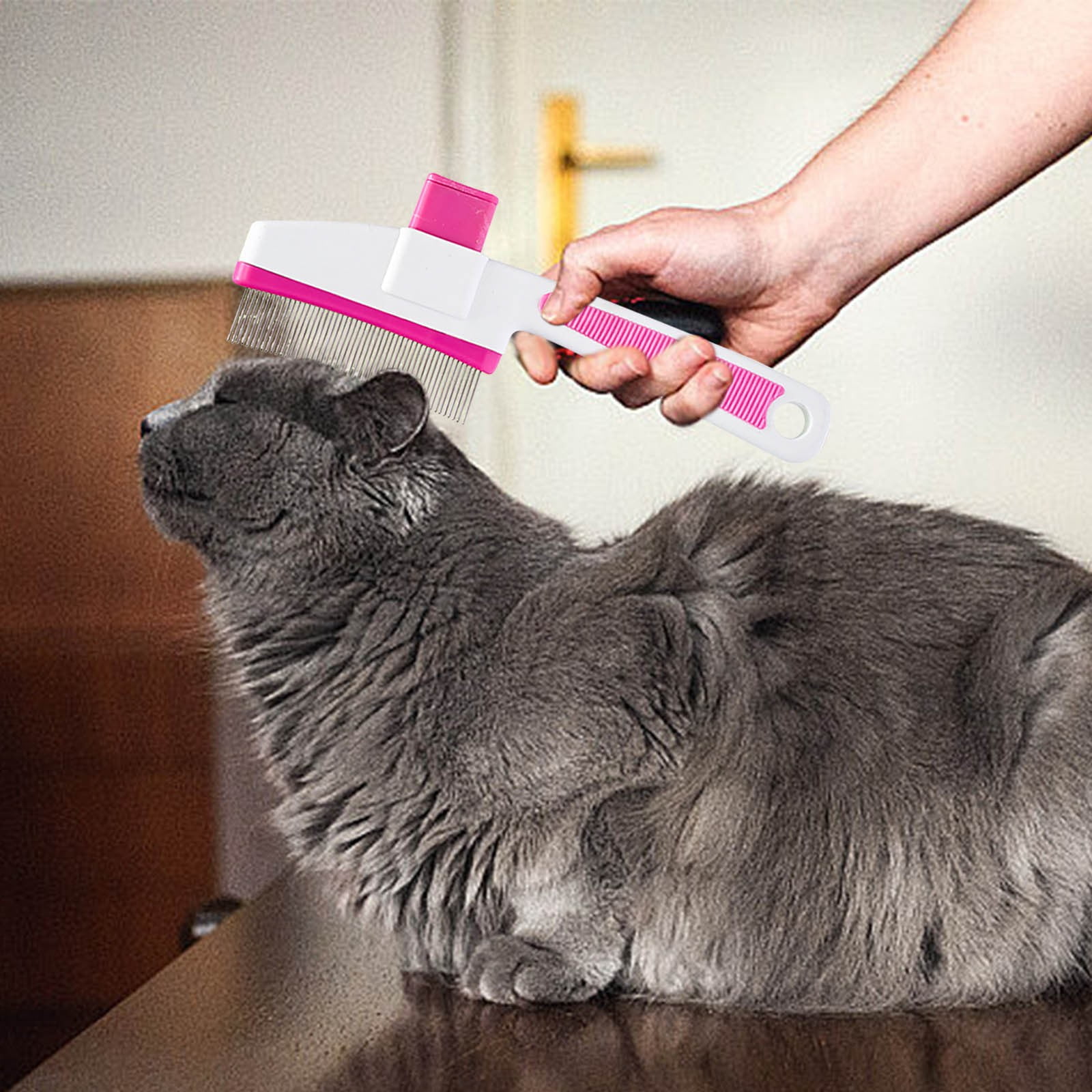 Diceymbol Pet Massage Comb Stainless Steel Dense Tooth Brush One Button ...