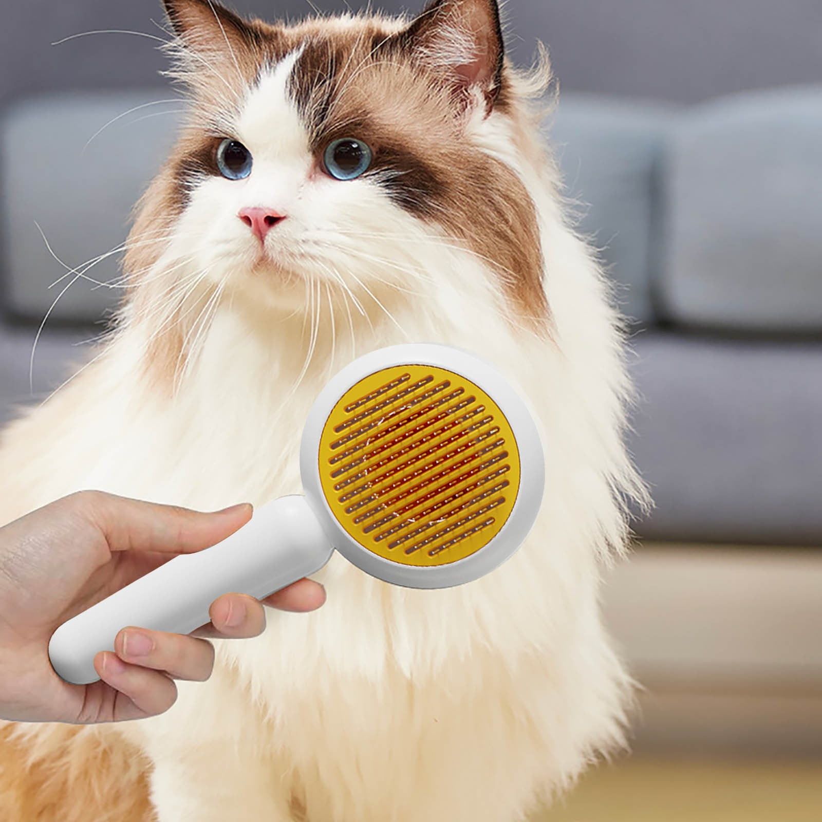 Diceymbol Pet Self-Cleaning Grooming Brush Egg Design One Button Hair ...