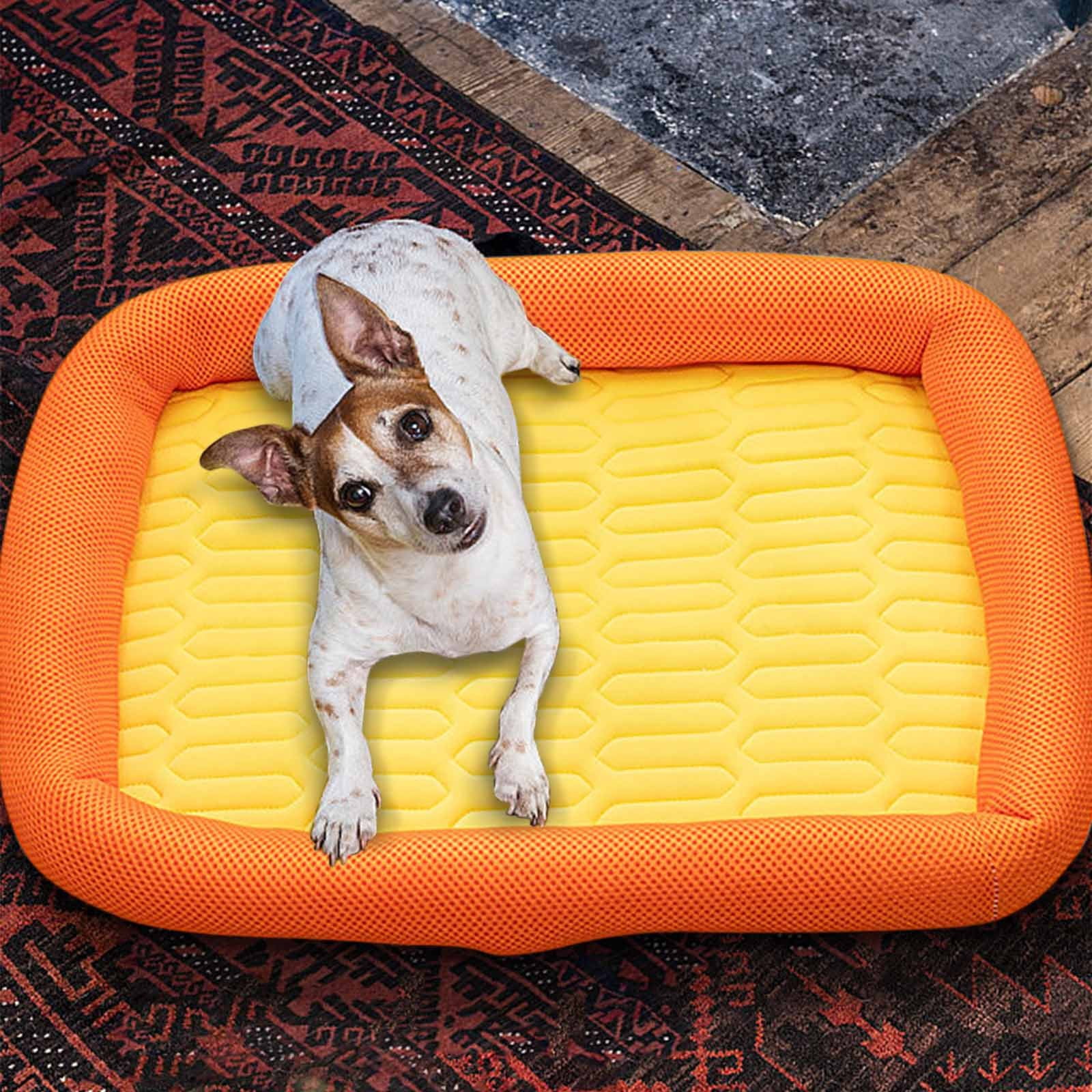 Diceymbol Summer Cooling Dog Bed for Small/Medium Pets Breathable Mesh ...