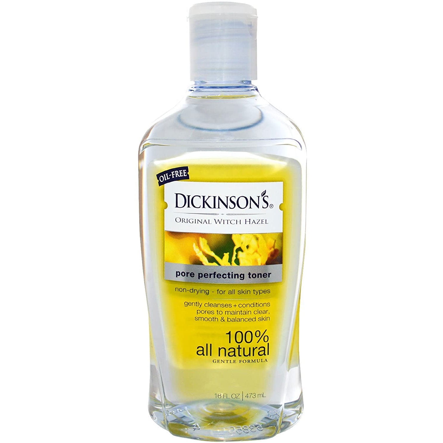 Dickinson Pore Perfecting Toner, 16 Oz., Pack of 6 - Walmart.com