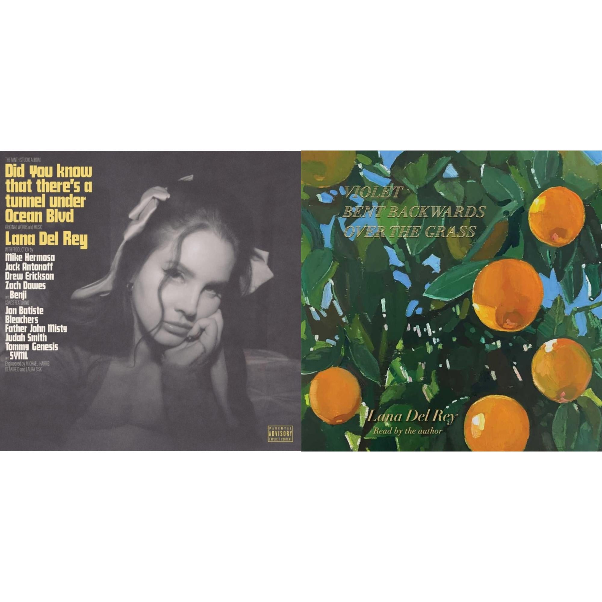 Did You Know That There’S A Tunnel Under Ocean Blvd (X) (2LP/180G ...
