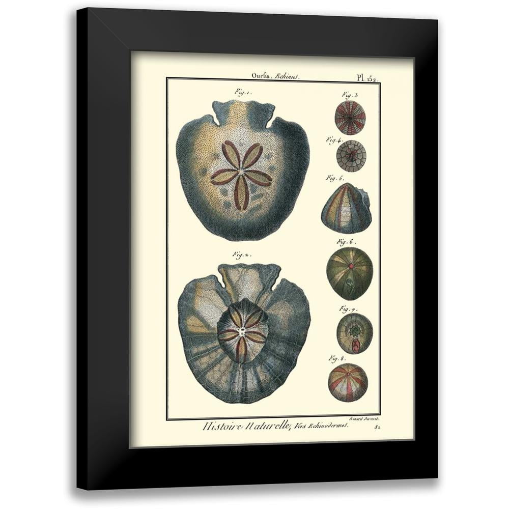 Diderot, Denis 11x14 Black Modern Framed Museum Art Print Titled - Sea ...