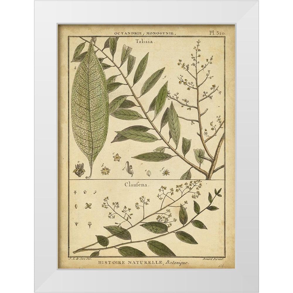 Diderot, Denis 11x14 White Modern Wood Framed Museum Art Print Titled ...