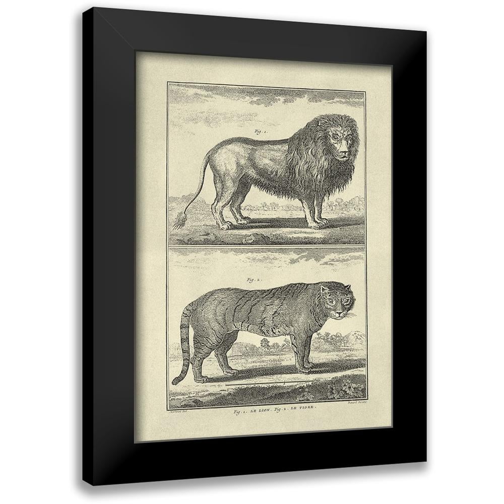 Diderot, Denis 14x18 Black Modern Framed Museum Art Print Titled - Lion ...