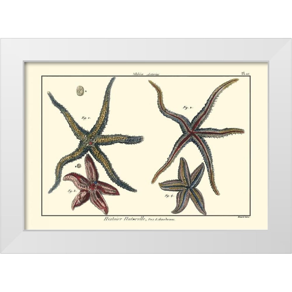 Diderot, Denis 18x14 White Modern Wood Framed Museum Art Print Titled ...