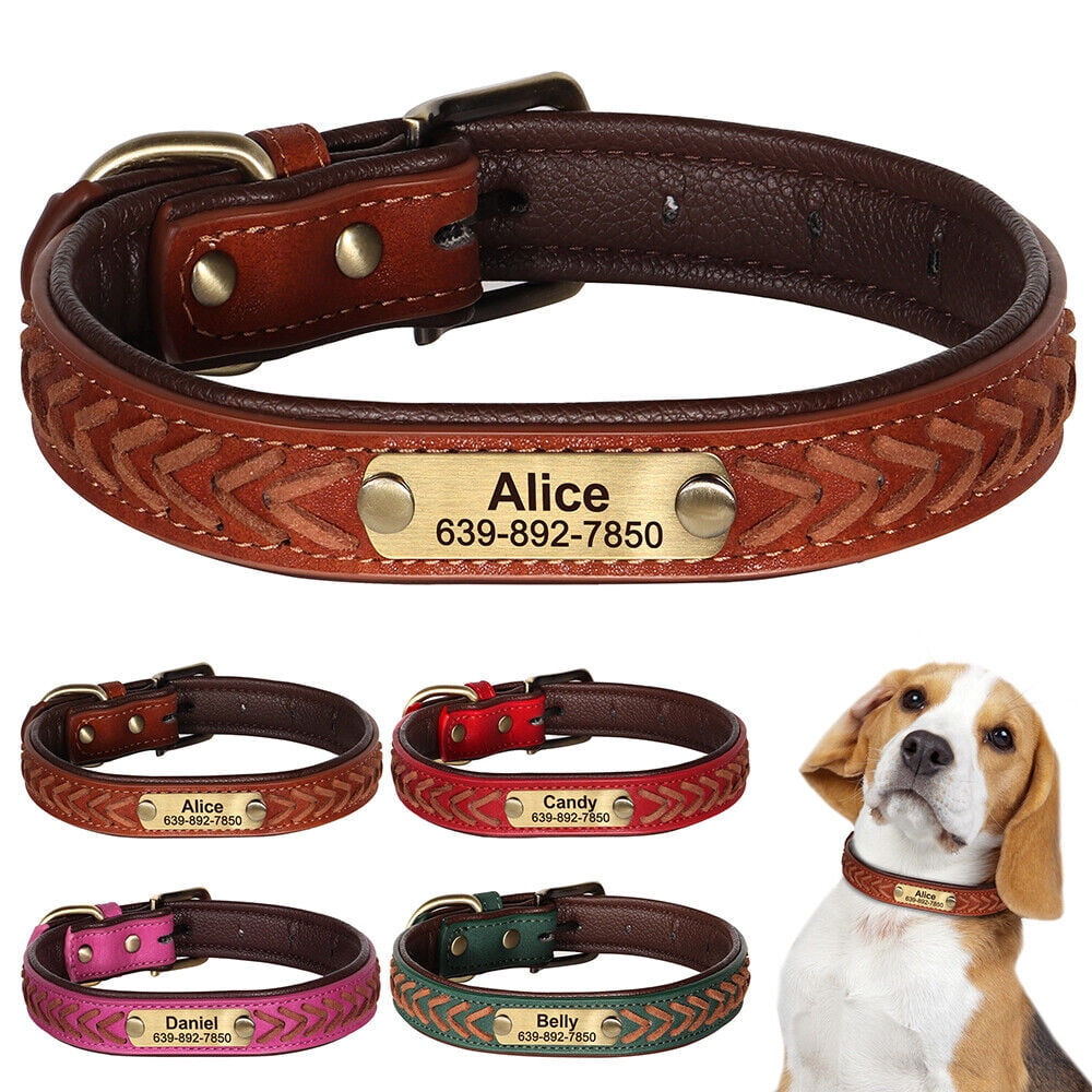 Didog Braided Leather Personalized Dog Collar Soft Adjsutable with ...