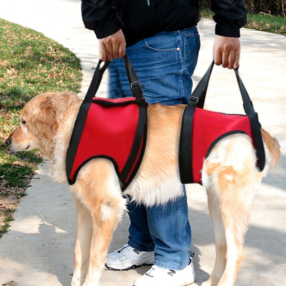 Didog Dog Lift Harness Support Sling Help Dogs with Weak Legs Back ...