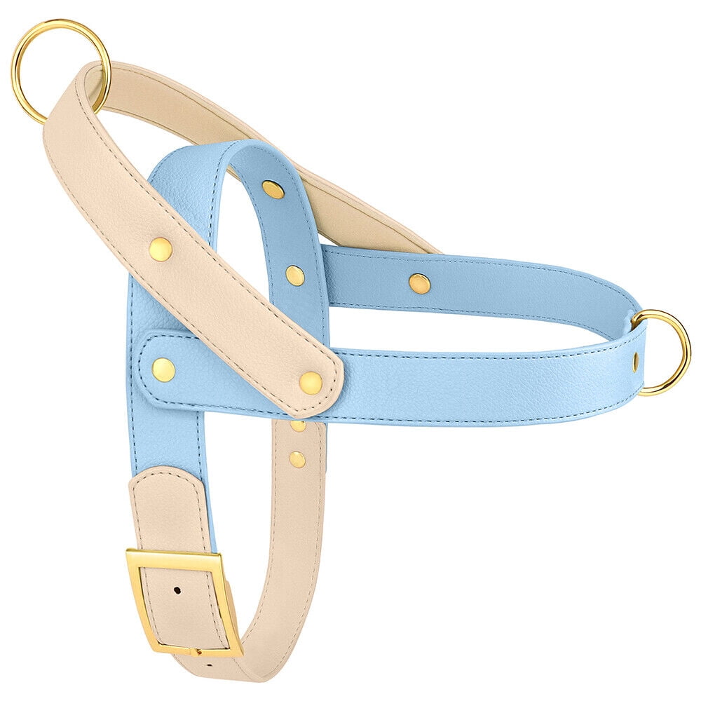 Didog Fashion No Pull Front Leading Dog Harness Soft Leather Adjustable ...