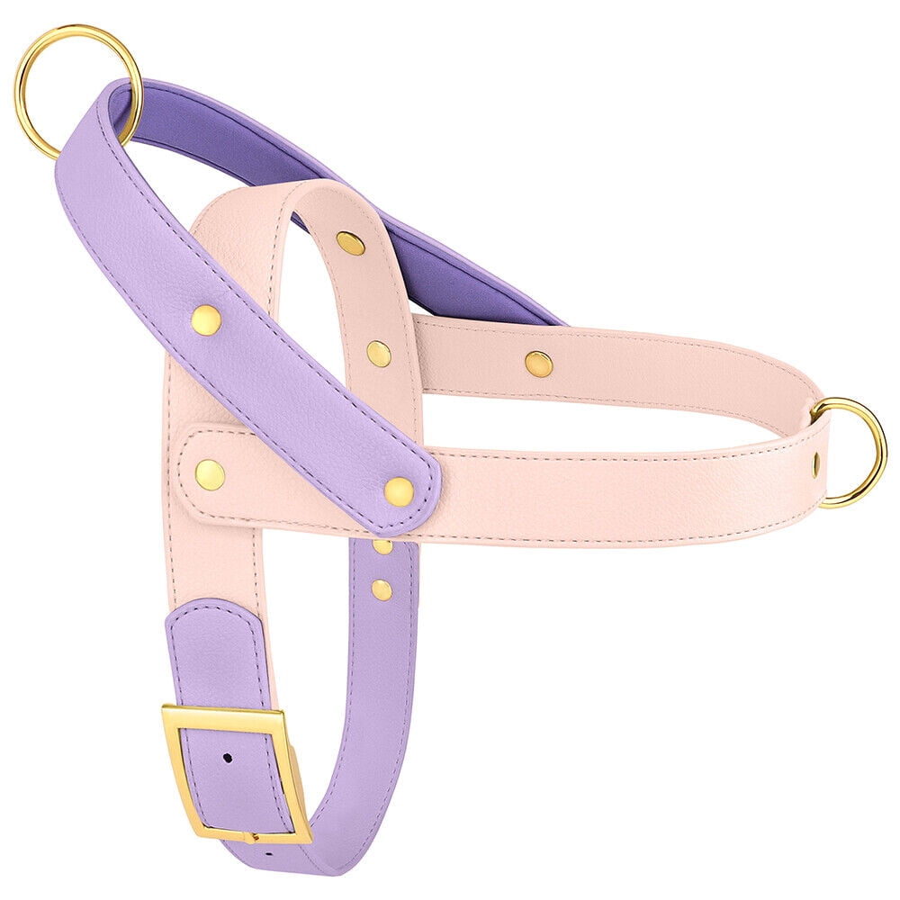 Didog Fashion No Pull Front Leading Dog Harness Soft Leather Adjustable ...