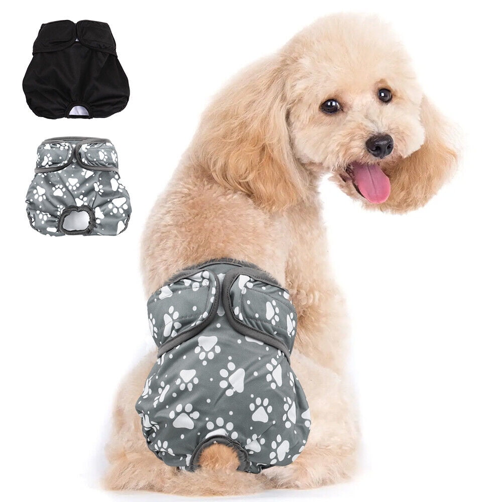 Didog Female Dog Diapers Reusable Nappy Underwear Physiological In ...