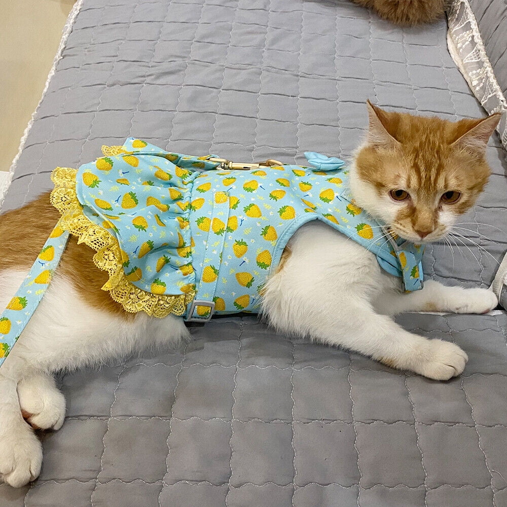 Didog Female Dog Harness Dress and Leash Fancy Small Pet Cat Summer ...