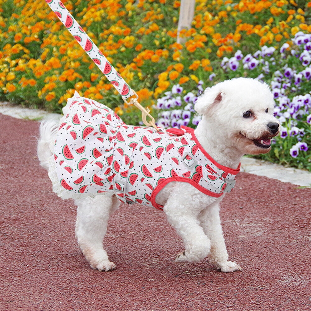 Didog Female Dog Harness Dress and Leash Fancy Small Pet Cat Summer ...
