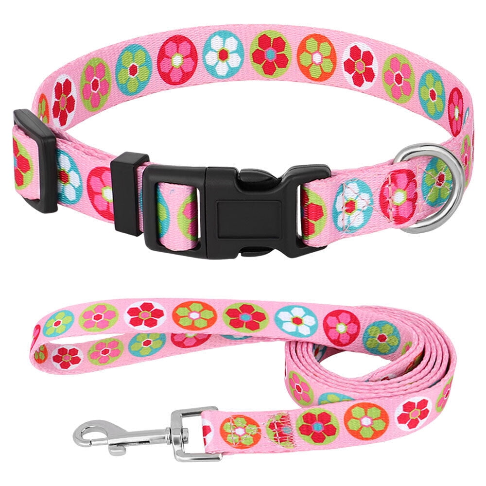 Didog Floral Dog Collar and Leash Set Flower/Bone/Strip Pattern Beagle ...