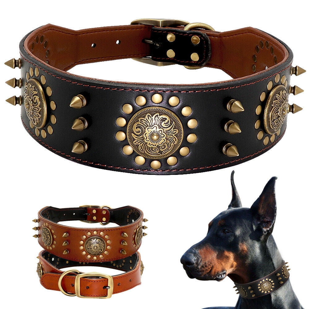Didog Genuine Leather Spiked Studded Medium Large Dog Collar- Heavy ...