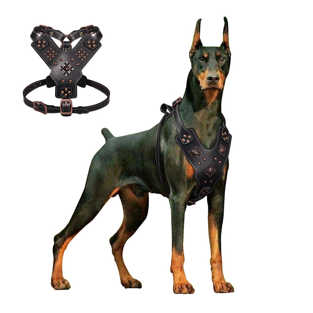 Didog Genuine Leather Spiked Studded Retro Dog Harness Heavy Duty ...