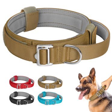 Canny Collar Easy Pull Dog Collar for Walking and Training - Blue, Size ...