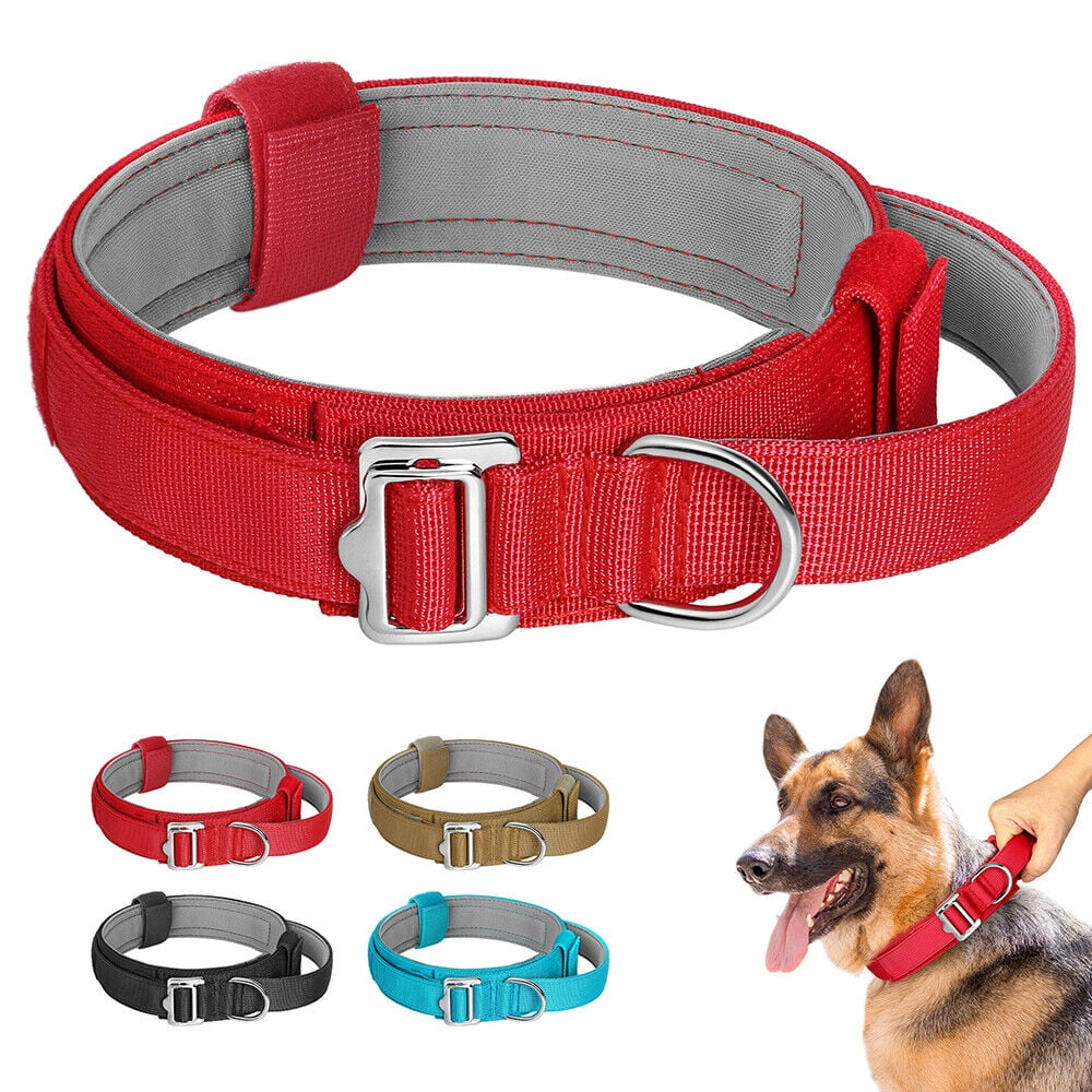 Didog No Pull Dog Collar with Handle Heavy Duty Training Pet Neck Strap ...